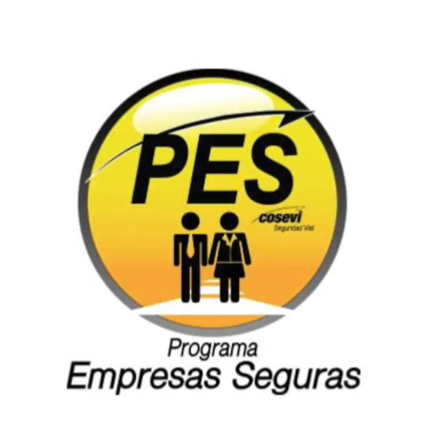 Reconocimiento del programa Empresas Seguras 2021 - COSEVI ...
